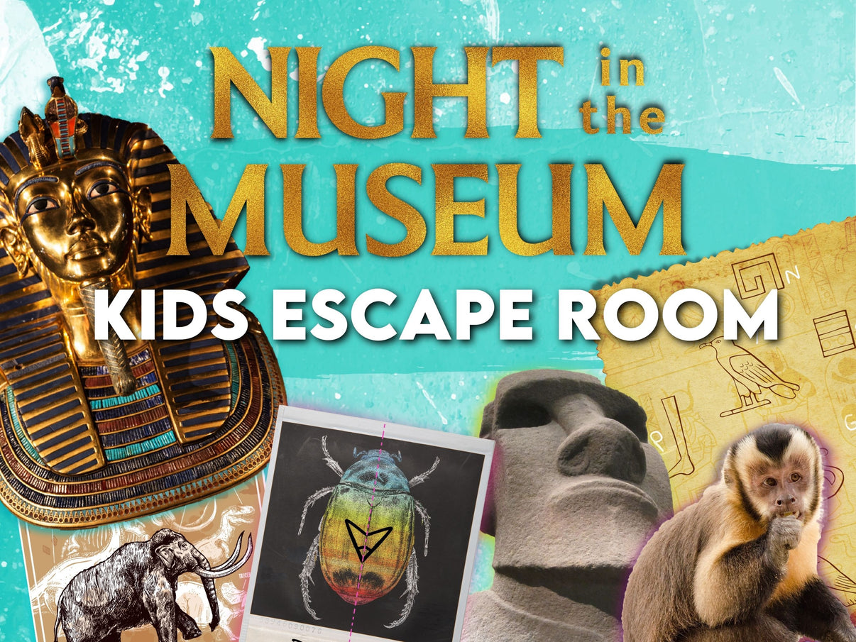 Mayhem at the Museum Escape Room – LockPaperEscape